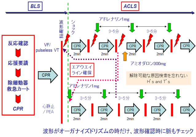 心停止アルゴリズム - 見附市小児科 みつけこどもクリニック | 小児科一般診療・予防接種・乳児健診 見附市